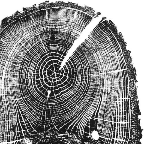 Red Oak, 18"x24" unframed, block #11 – Timber Wood Prints