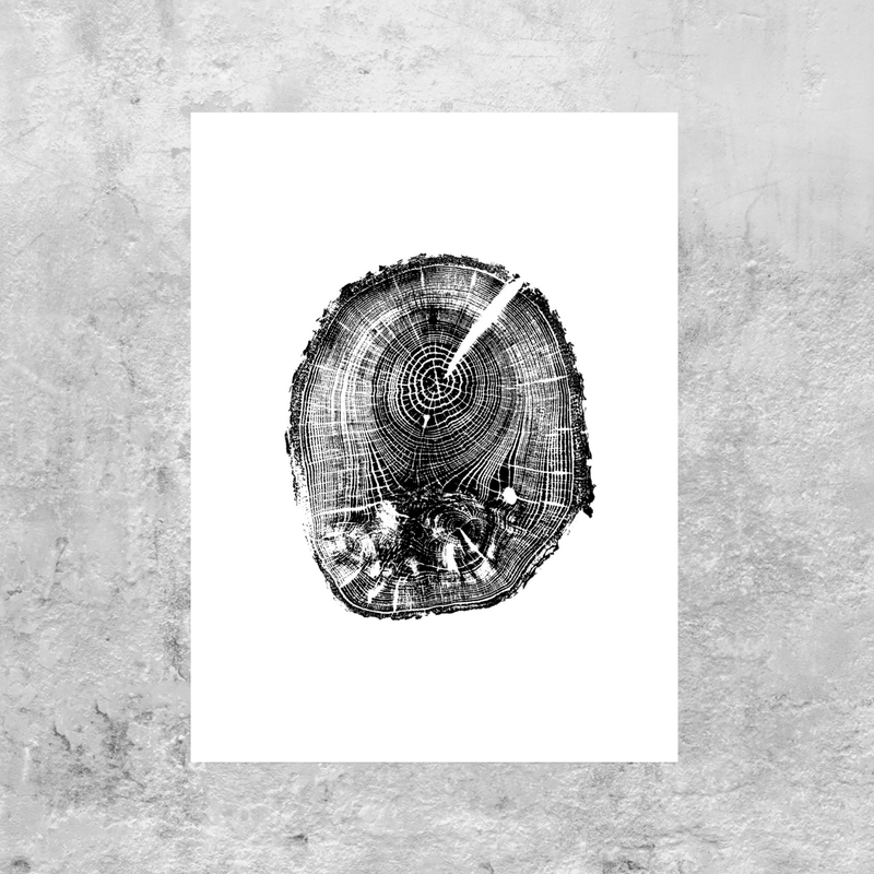 Red Oak, 18"x24" unframed, block #11 – Timber Wood Prints